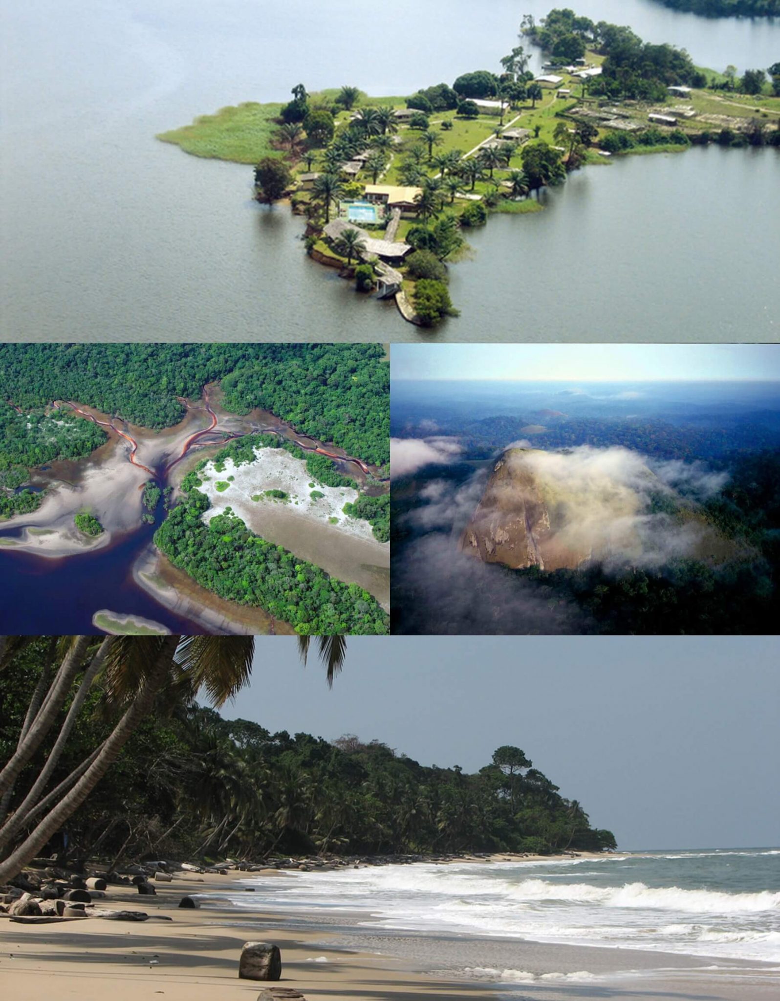 About Us - Gabonembassynewdelhi